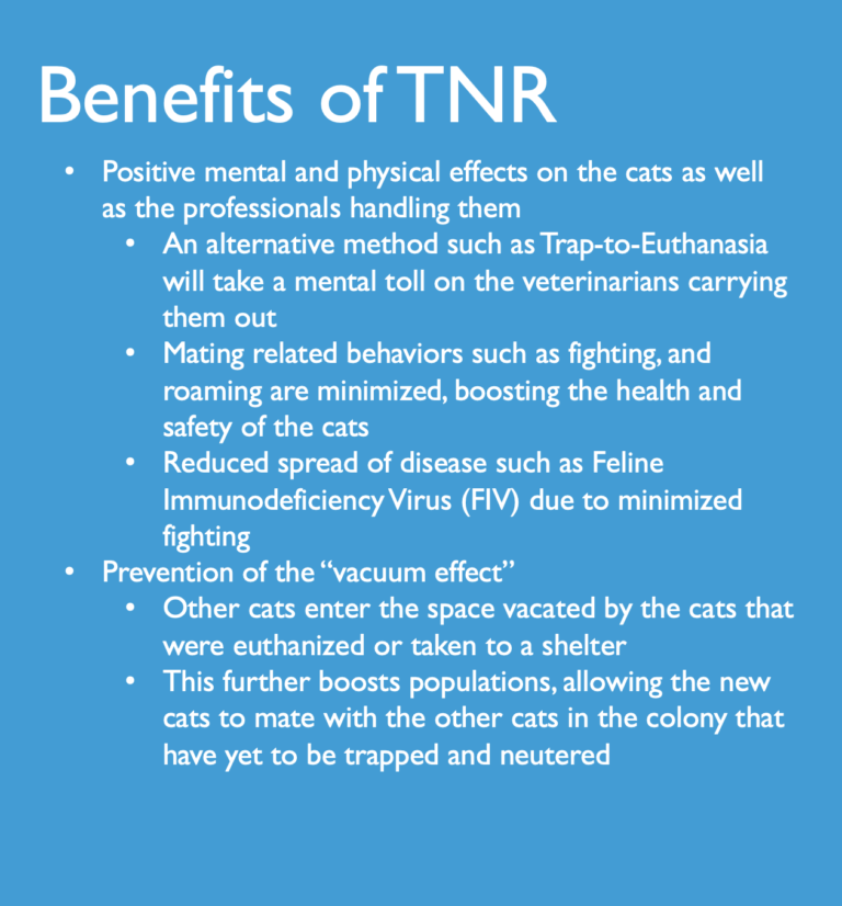 About TNR | KittyCorner